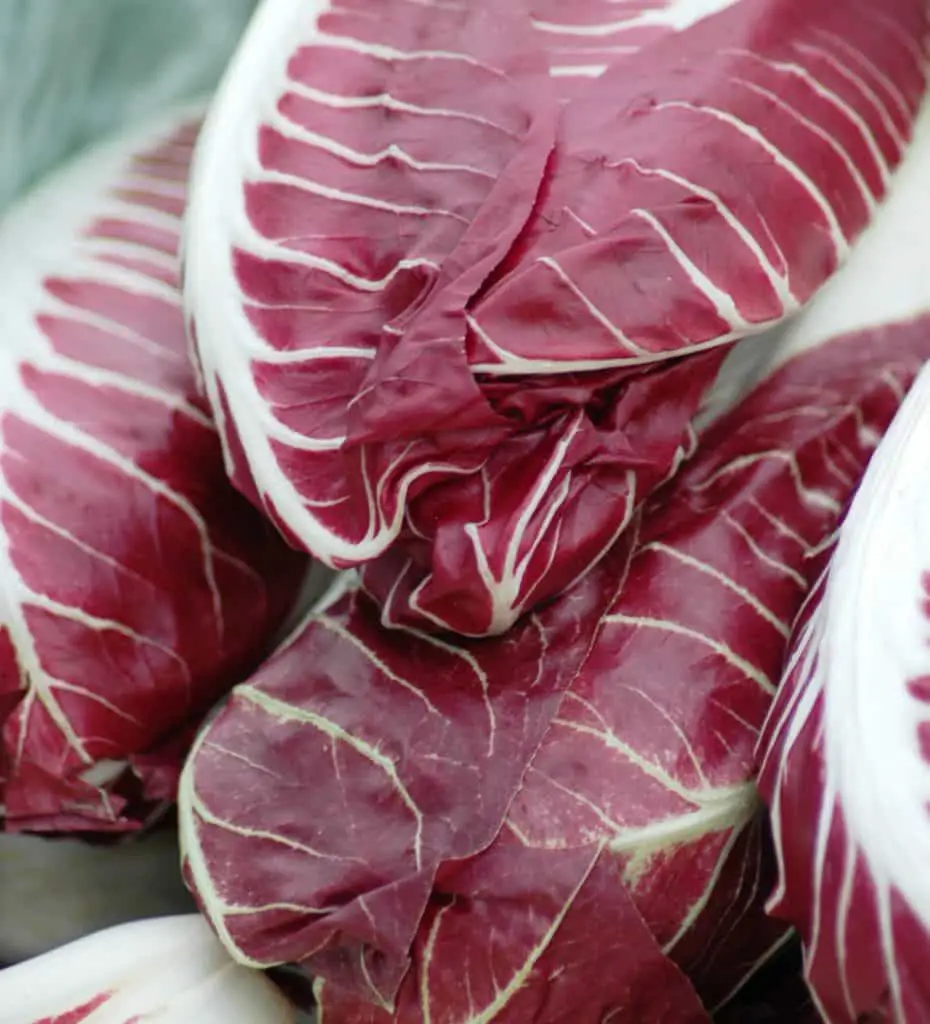 Five Delicious Greens to Substitute for Arugula In Any Recipe - Texas ...