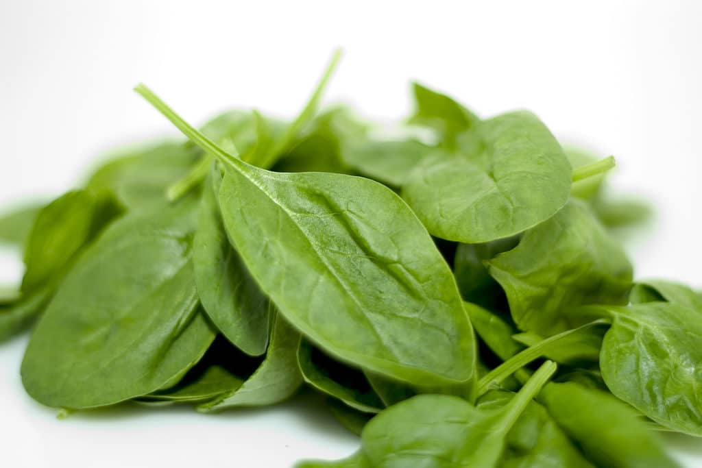 Five Delicious Greens to Substitute for Arugula In Any Recipe - Texas ...